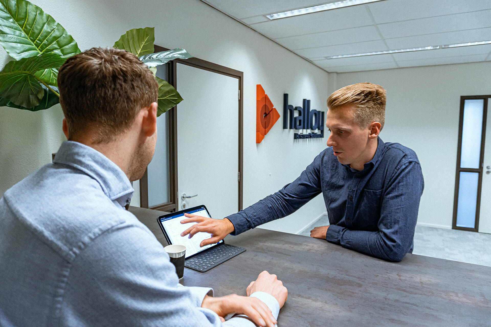 Optimalisatie - Halloy Business Solutions