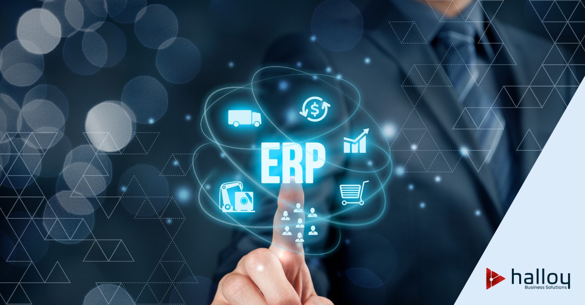 Waarom kiezen steeds meer bedrijven voor web ERP-software? - Halloy ...